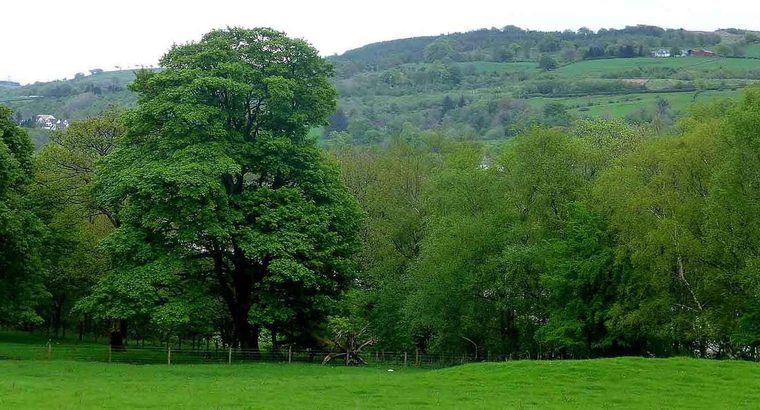 Bob Law: The Beauty of Renfrewshire - Glasgow West End