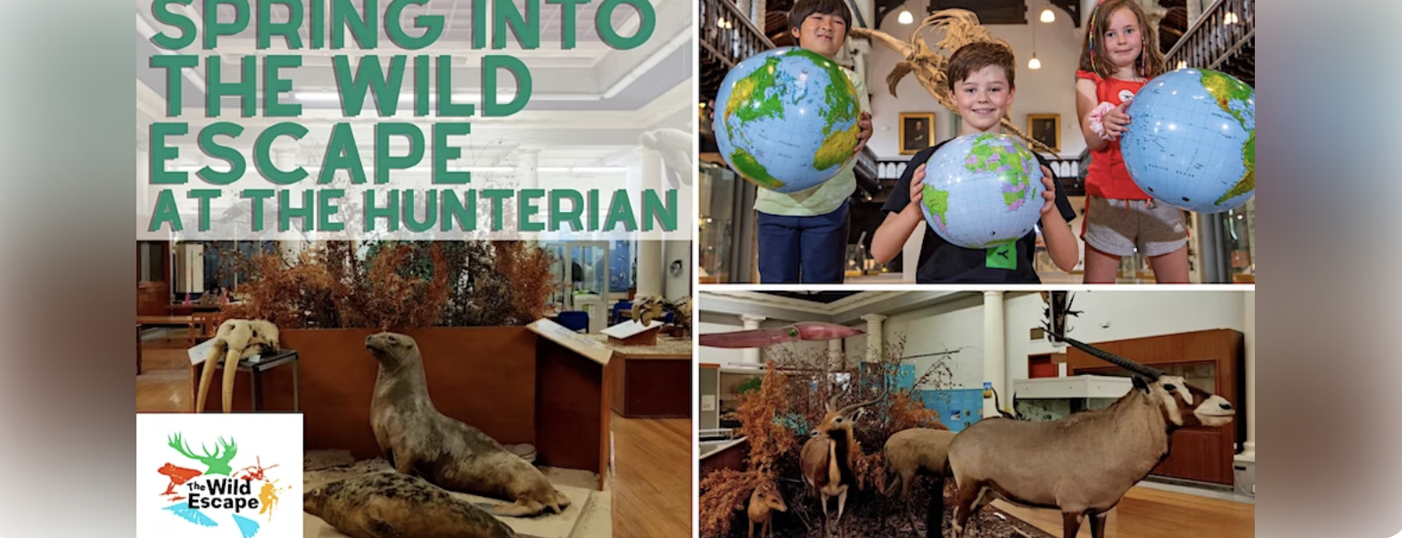 Spring Into The Wild Escape at The Hunterian - Glasgow West End