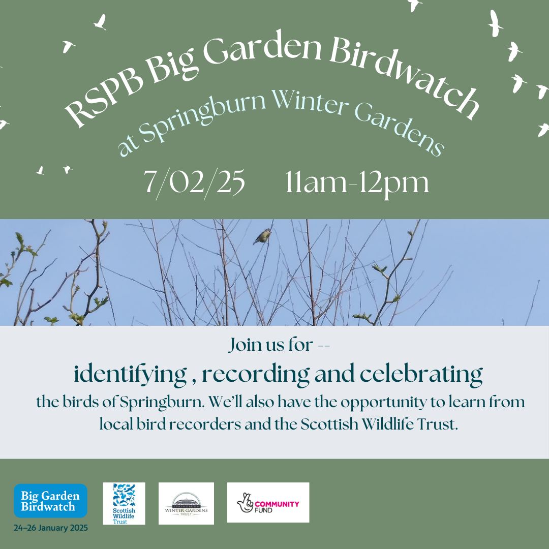 Big Community Birdwatch - Springburn Winter Gardens - Glasgow West End
